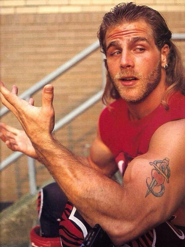 Ladies do you find a young Shawn Michaels physically attractive ...
