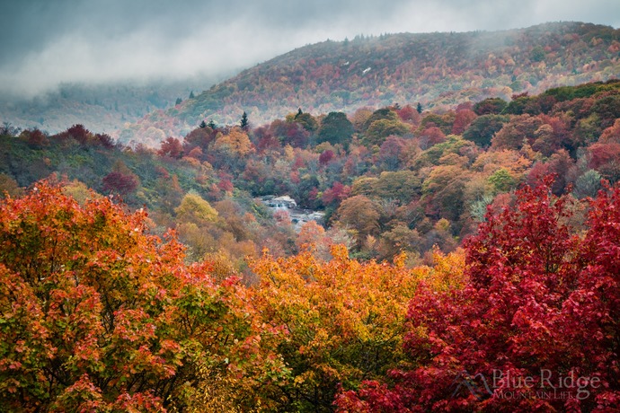 Have the fall colors peaked in your area yet? - GirlsAskGuys