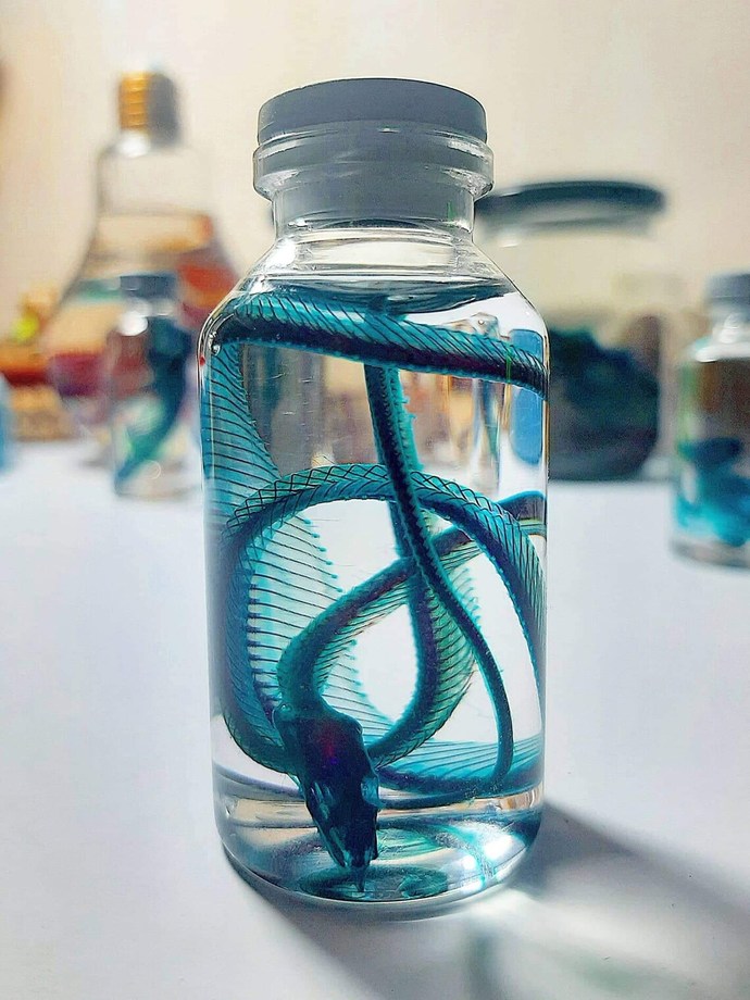 Do you collect anything? What do you collect? - GirlsAskGuys