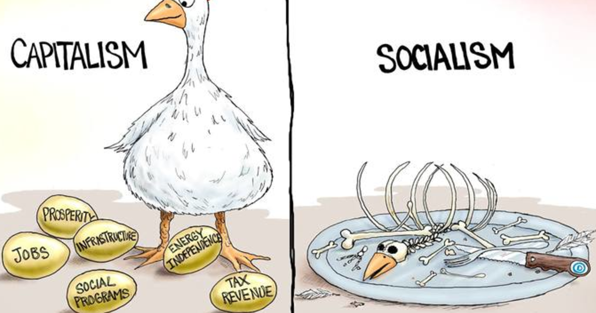 Do the people that despise capitalism actually understand how ...