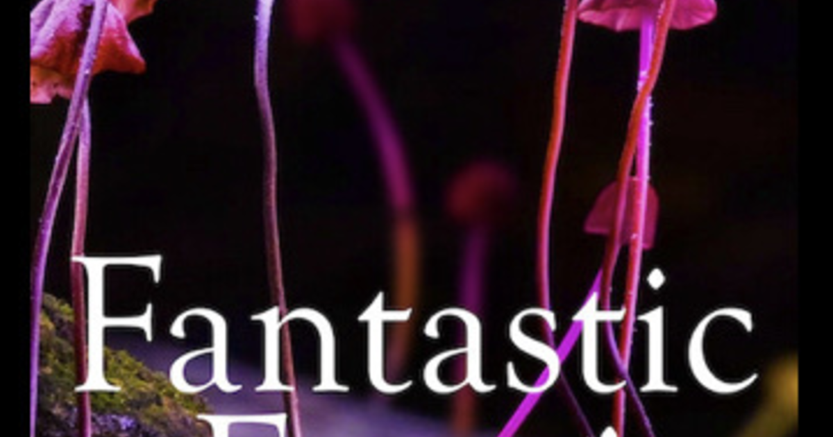Have you seen the Netflix documentary Fantastic Fungi? Thoughts? I ...