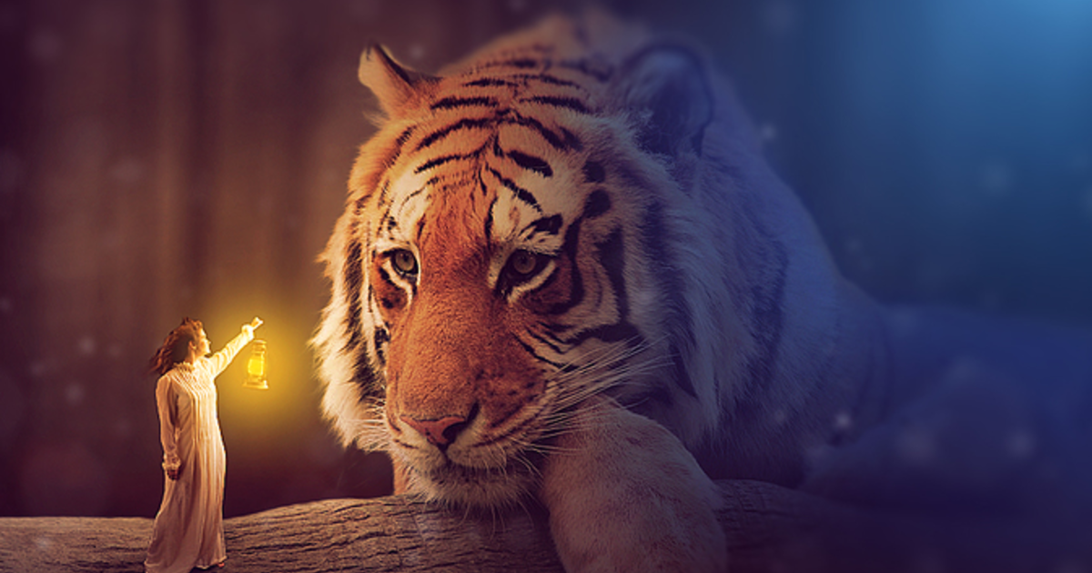 Why are so many Hollywood actors born the year of the Tiger? - GirlsAskGuys