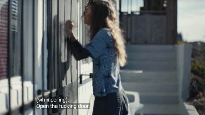 Was the character "Rue" from Euphoria basically taken from Basketball ...