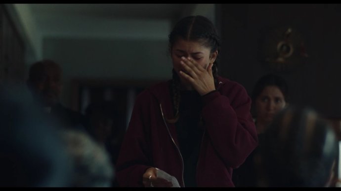 Was the character "Rue" from Euphoria basically taken from Basketball ...