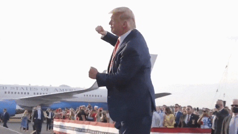 If Donald Trump came out as non-binary, would you be more or less ...