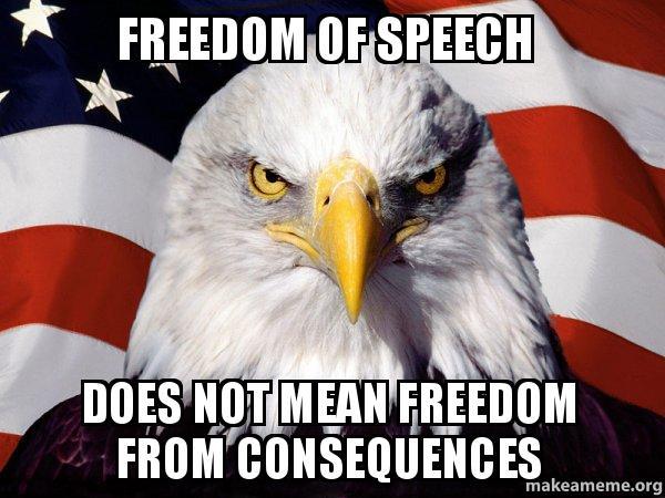 Freedom of speech dies not mean freedom of consequences. Do you agree ...