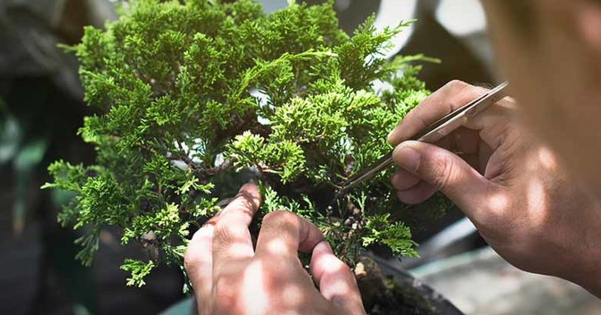 For those of you with a hobby or hobbies, which was the MOST difficult ...