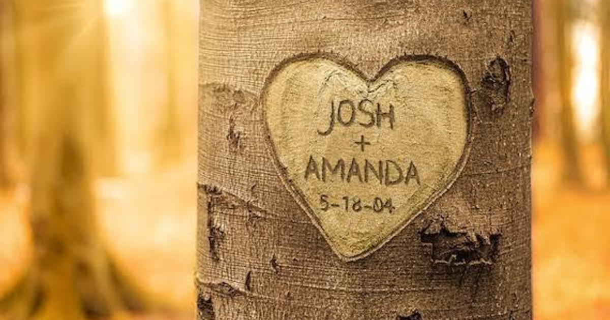 Have you ever written you and yours so name in tree ? - GirlsAskGuys