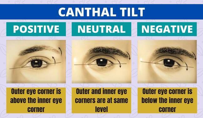 Prey Eyes vs. Hunter Eyes: What's your Canthal Tilt? - GirlsAskGuys