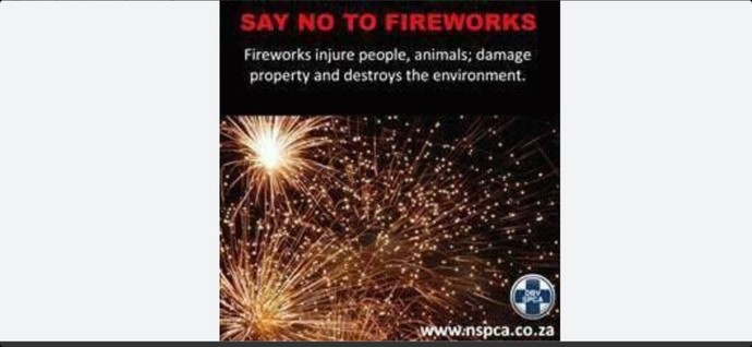 Yes or no to fireworks? Can you explain why? - GirlsAskGuys