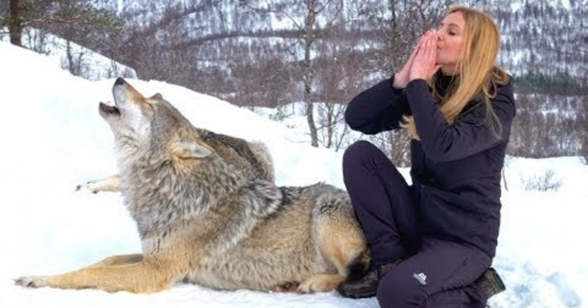 How does she howl with wolves? - GirlsAskGuys