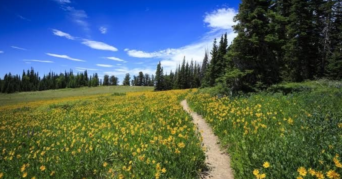 What can nature teach us about our own paths in life? what can we learn ...