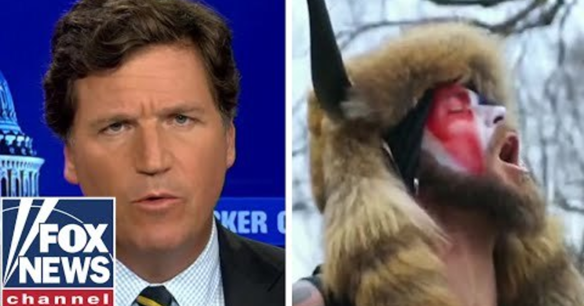 So Buffalo guy/Q Shaman was escorted throughout the Capitol building by ...