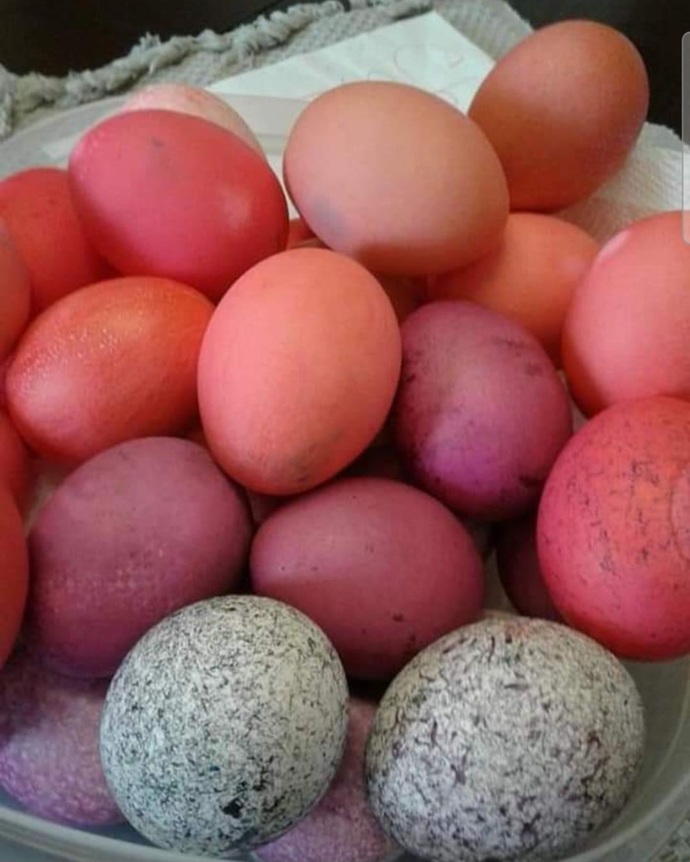 Are you coloring Eastereggs this year,? - GirlsAskGuys