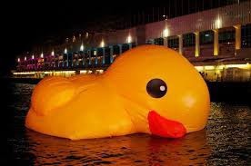 On a rubber duck scale 1-10, how are things going with you today 藍 ...