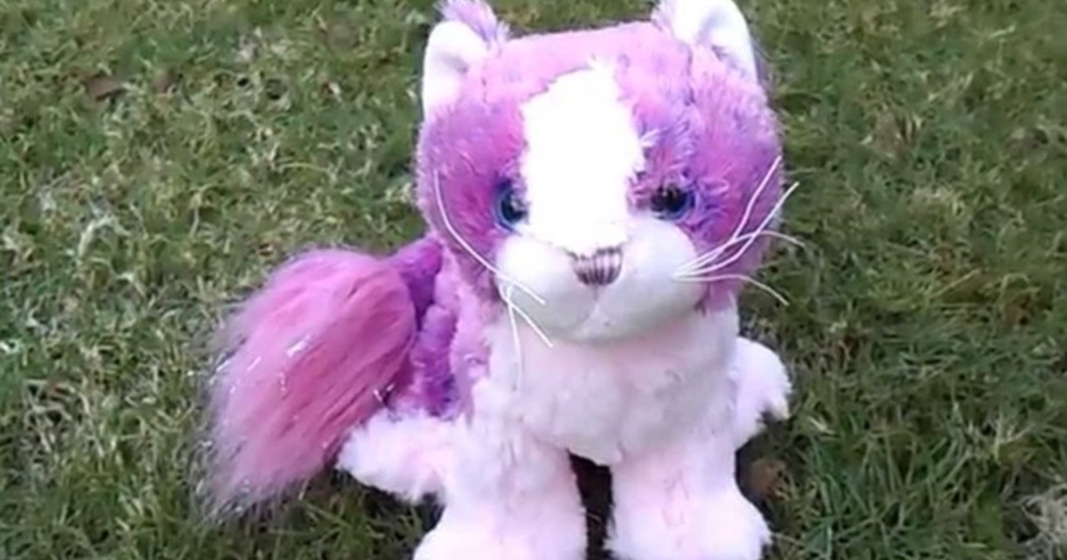 Did anyone else here grow up with Webkinz? - GirlsAskGuys