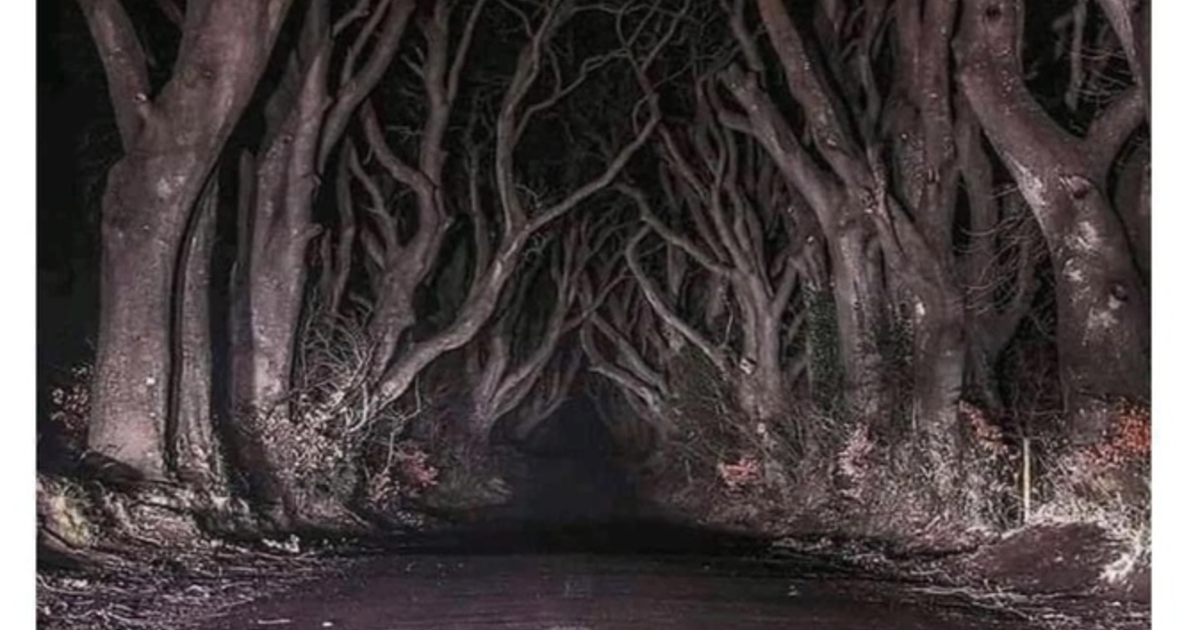 You have to walk through this to save your love ones’ life, WYD ...