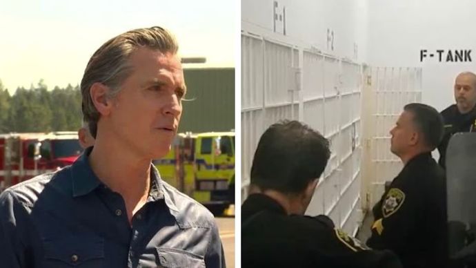 Should judges “consider a convicted criminal's race when determining ...