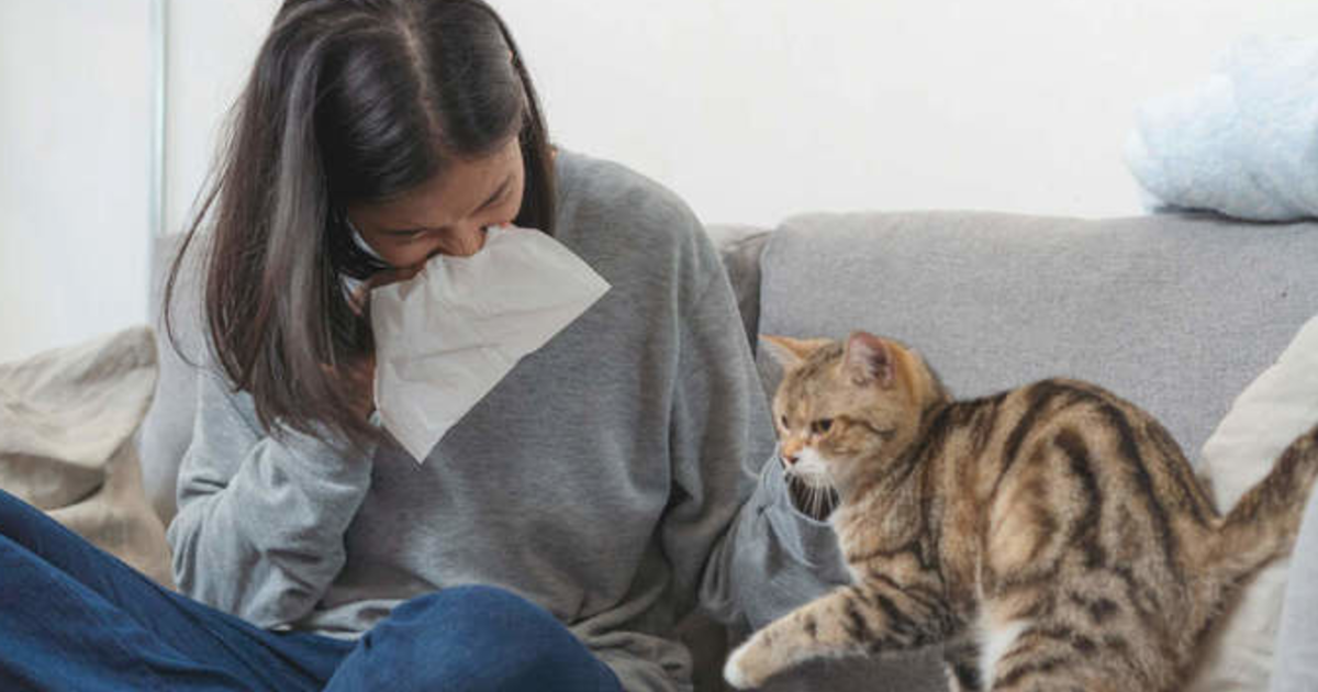 When should I tell a date I'm super allergic to cats? - GirlsAskGuys