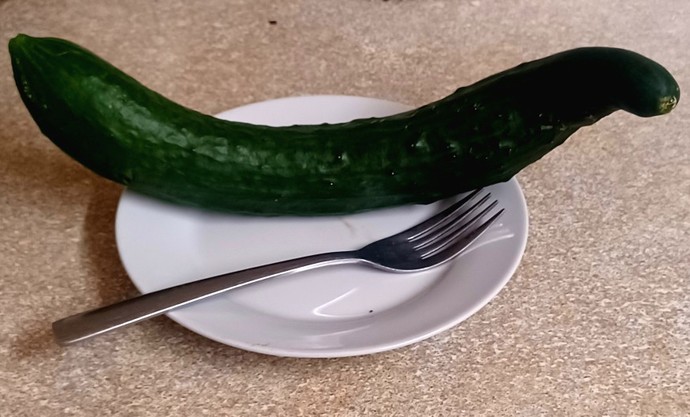 What can I do with a misshapen bumpy cucumber? - GirlsAskGuys
