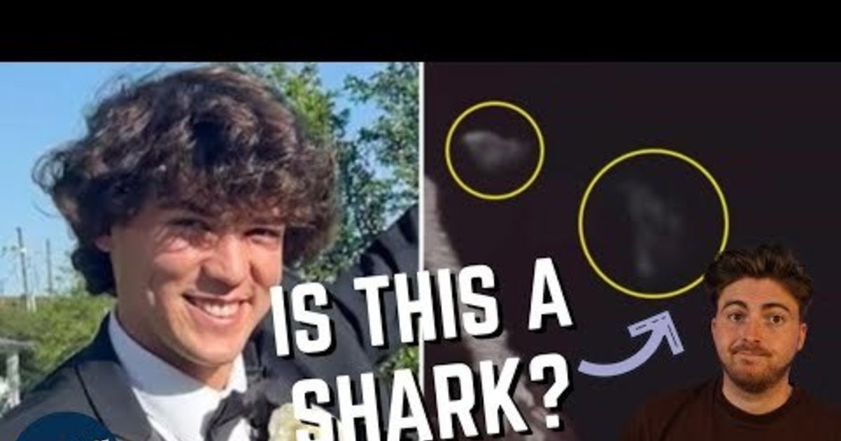 Was the Cameron Robbins case covered up or was there multiple sharks in ...