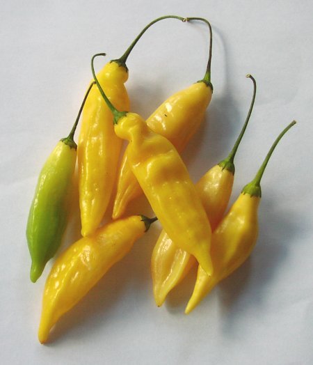 Have you ever thrown together a bunch of random ingredients and made a ...