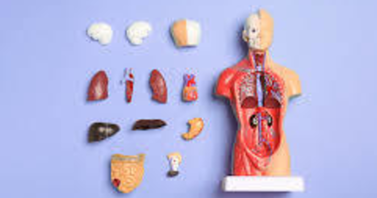 Has Anyone Contemplated Donating Their Body to Science Someday ...