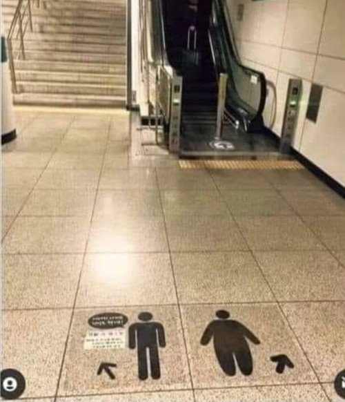 What is your typical reaction/thoughts when you gotta ascend a flight ...