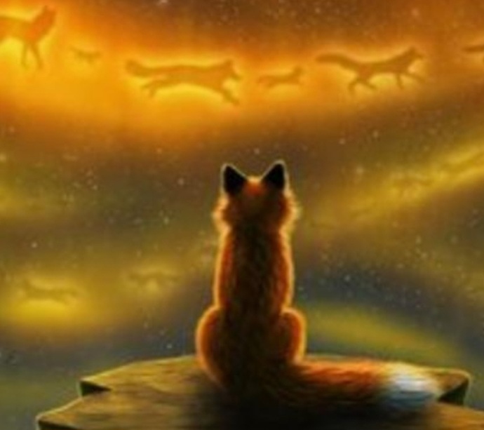 What is this fox doing in this picture? - GirlsAskGuys