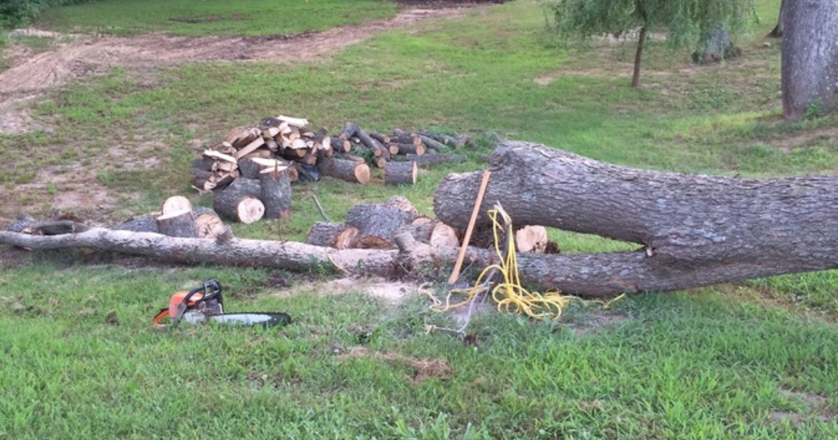 Have you ever chopped down a tree or split wood? - GirlsAskGuys