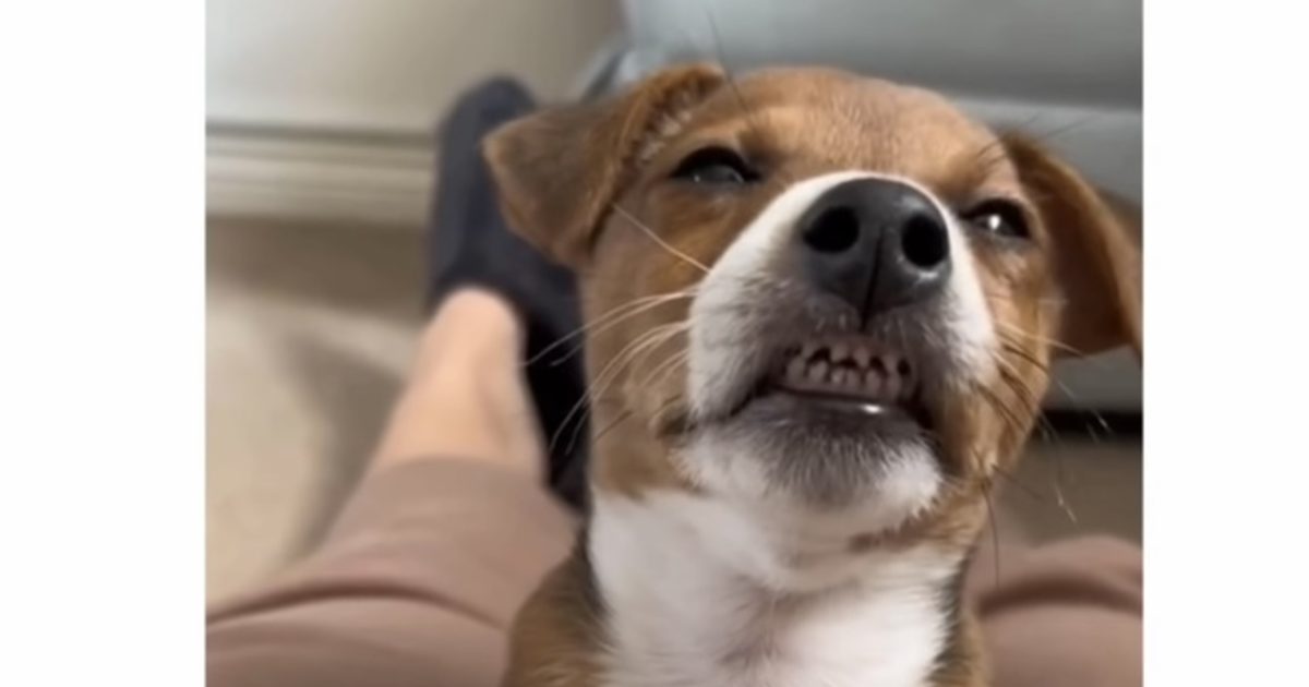 Whyyyyyyyyyyyyy? - GirlsAskGuys