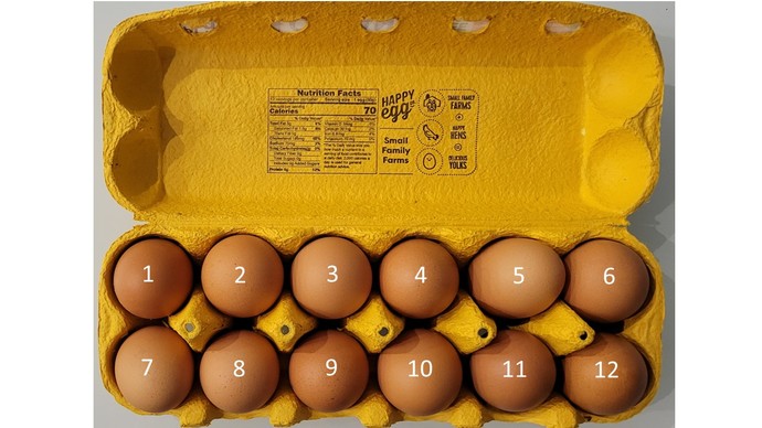 How do you REMOVE your EGGS from the CARTON? - GirlsAskGuys