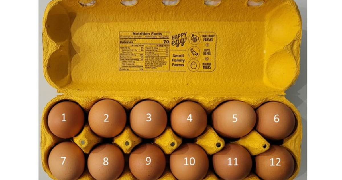 How do you REMOVE your EGGS from the CARTON? - GirlsAskGuys