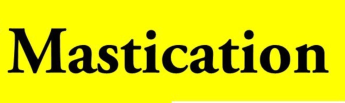 When do you MASTICATE? - GirlsAskGuys