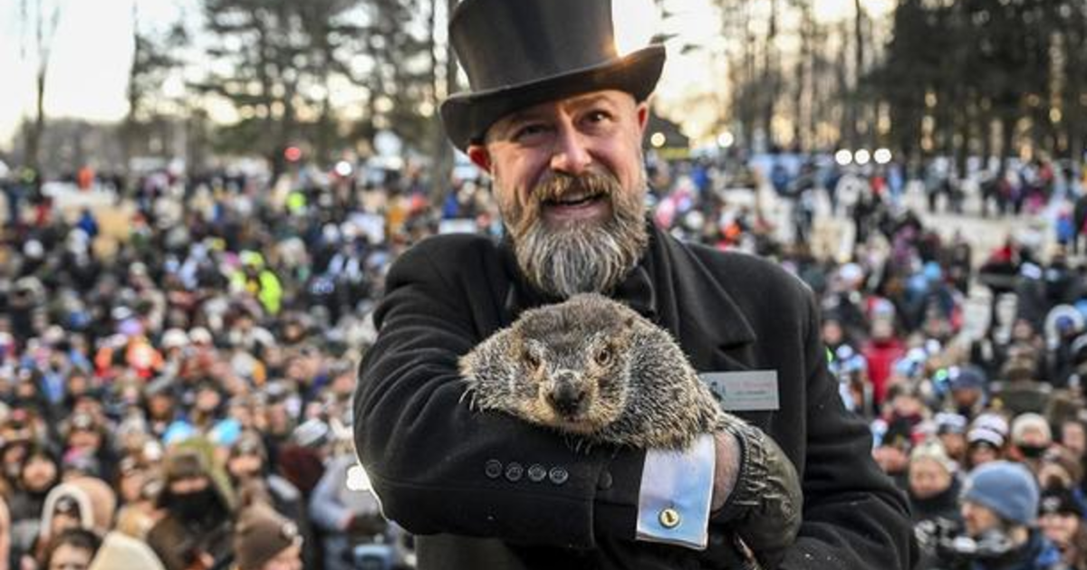 Do you really trust groundhogs to tell you the future of the weather ...