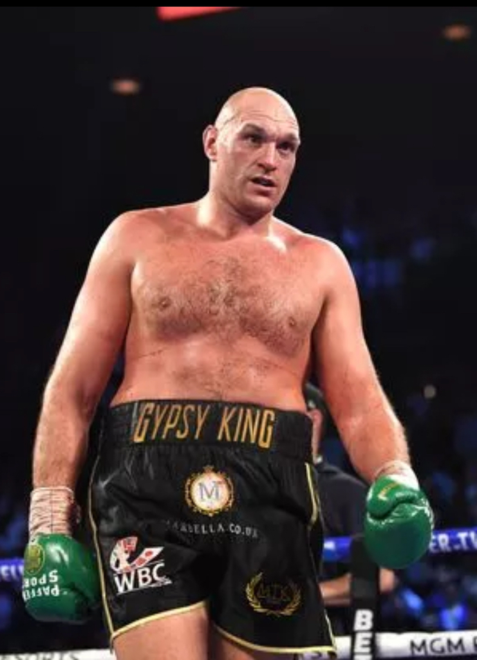 Who from Tyson/Vitaly K/Lewis/Holyfield at their prime would have the ...