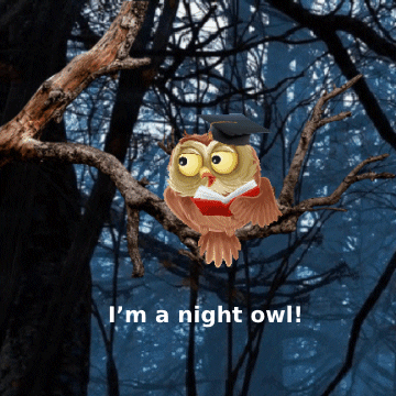 Are you more of an early bird or a night owl? - GirlsAskGuys