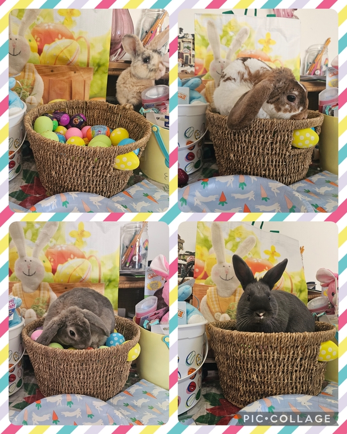 HAPPY Easter ! How did your day go? - GirlsAskGuys