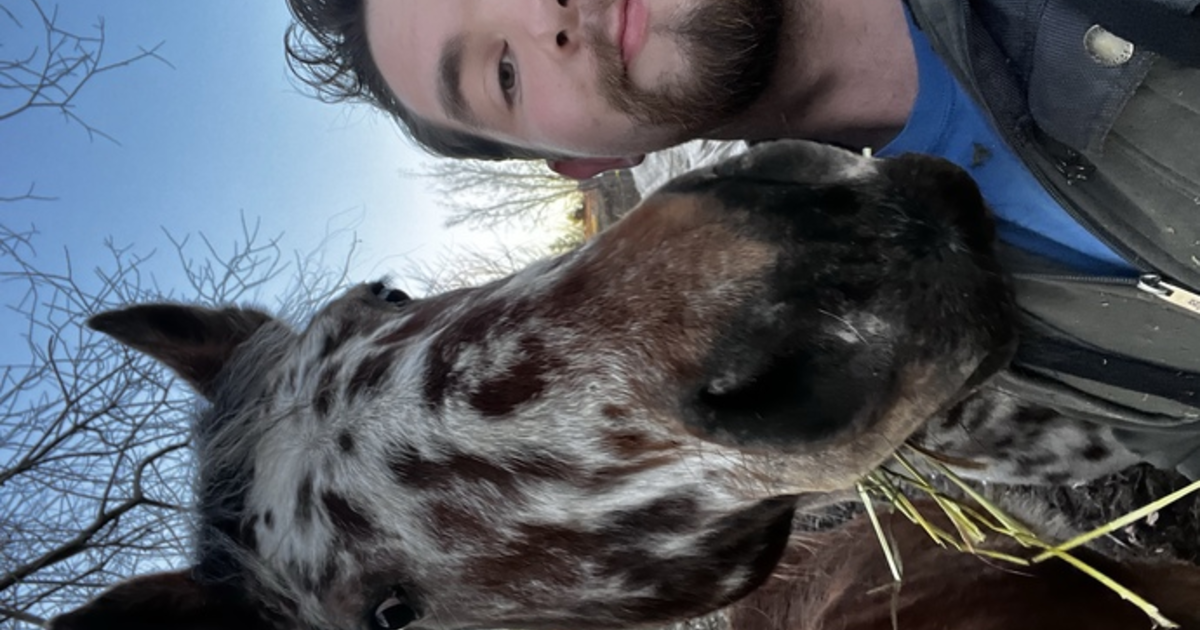 Do you like horses? - GirlsAskGuys