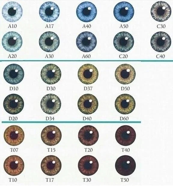 What’s your eye color (based on the pic)? - GirlsAskGuys