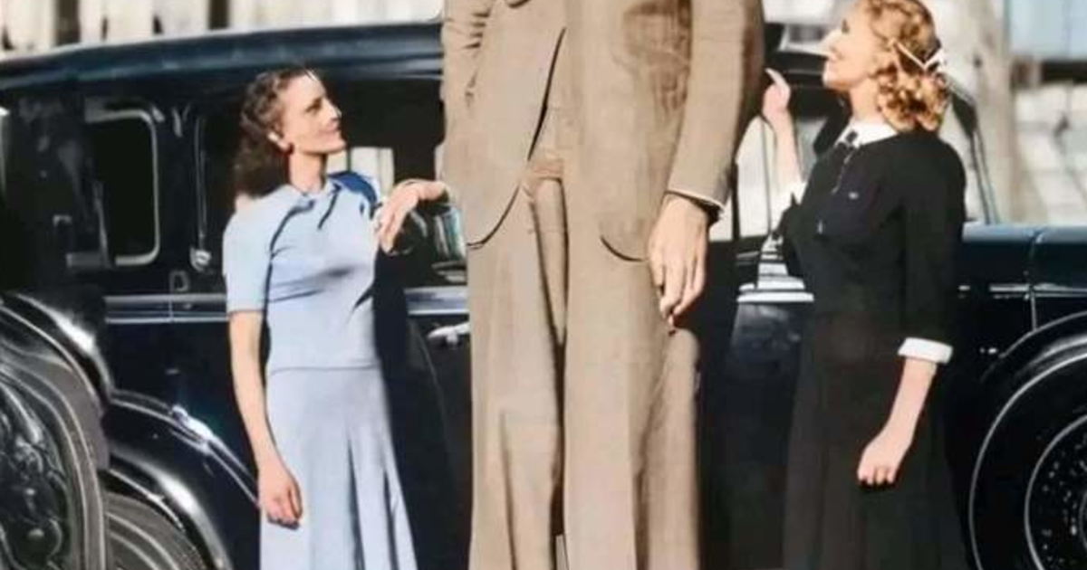 Anyone else enjoy dating short girls as a tall guy? - GirlsAskGuys