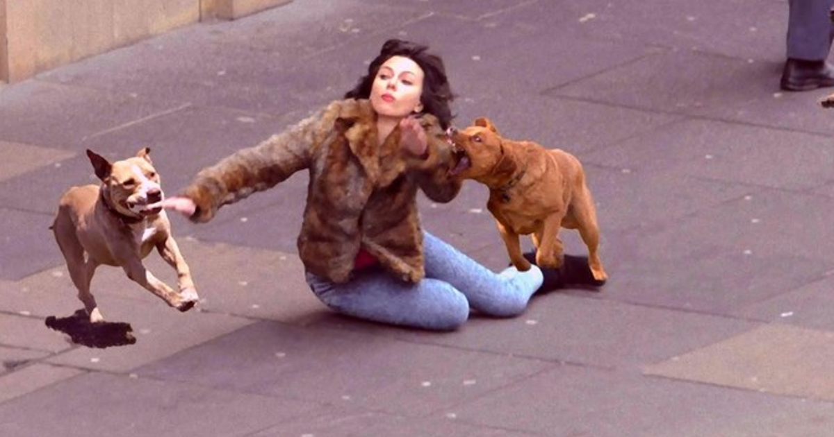 Do you let your dogs run loose during the day? - GirlsAskGuys