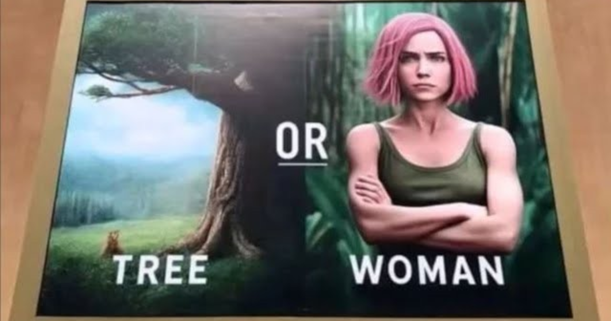 Fellas, Woman or Tree? - GirlsAskGuys