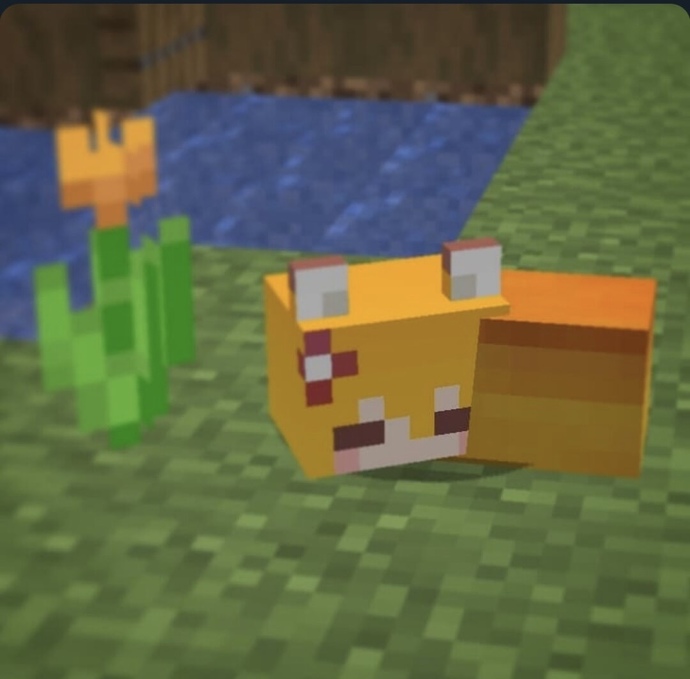 What’s the most adorable thing you’ve seen today? - GirlsAskGuys