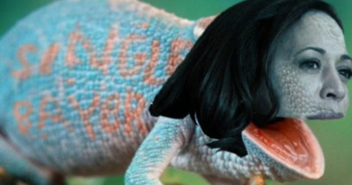 Are Democrats trying to con you again with a Kamala Chameleon basement ...