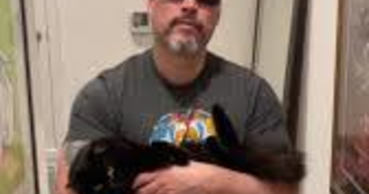 I'm a childless cat man. Am I doing it right? - GirlsAskGuys