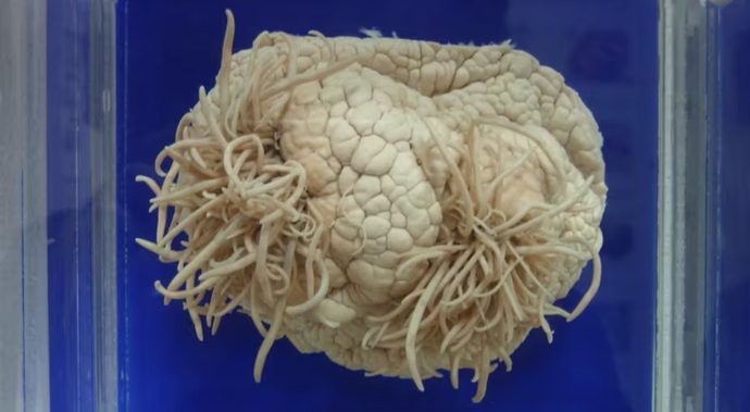 Society & Politics - GirlsAskGuys