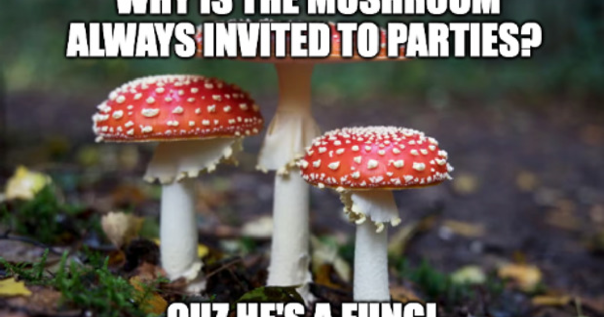 What do you think of this Pic Pun? - GirlsAskGuys