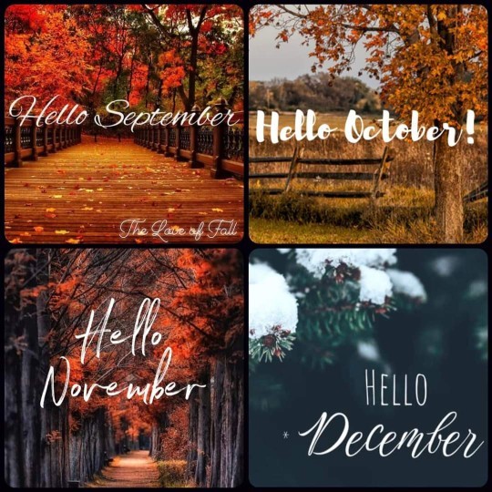 What's your favorite 'Ber' month? - GirlsAskGuys