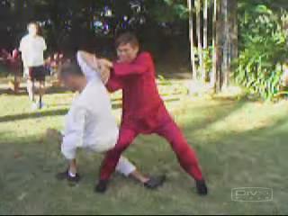 Polls - GirlsAskGuys